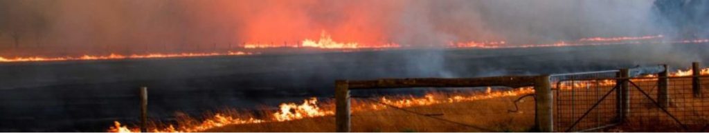 GRASS FIRES – RURAL ENVIRONMENT – The Bushfire Foundation Inc