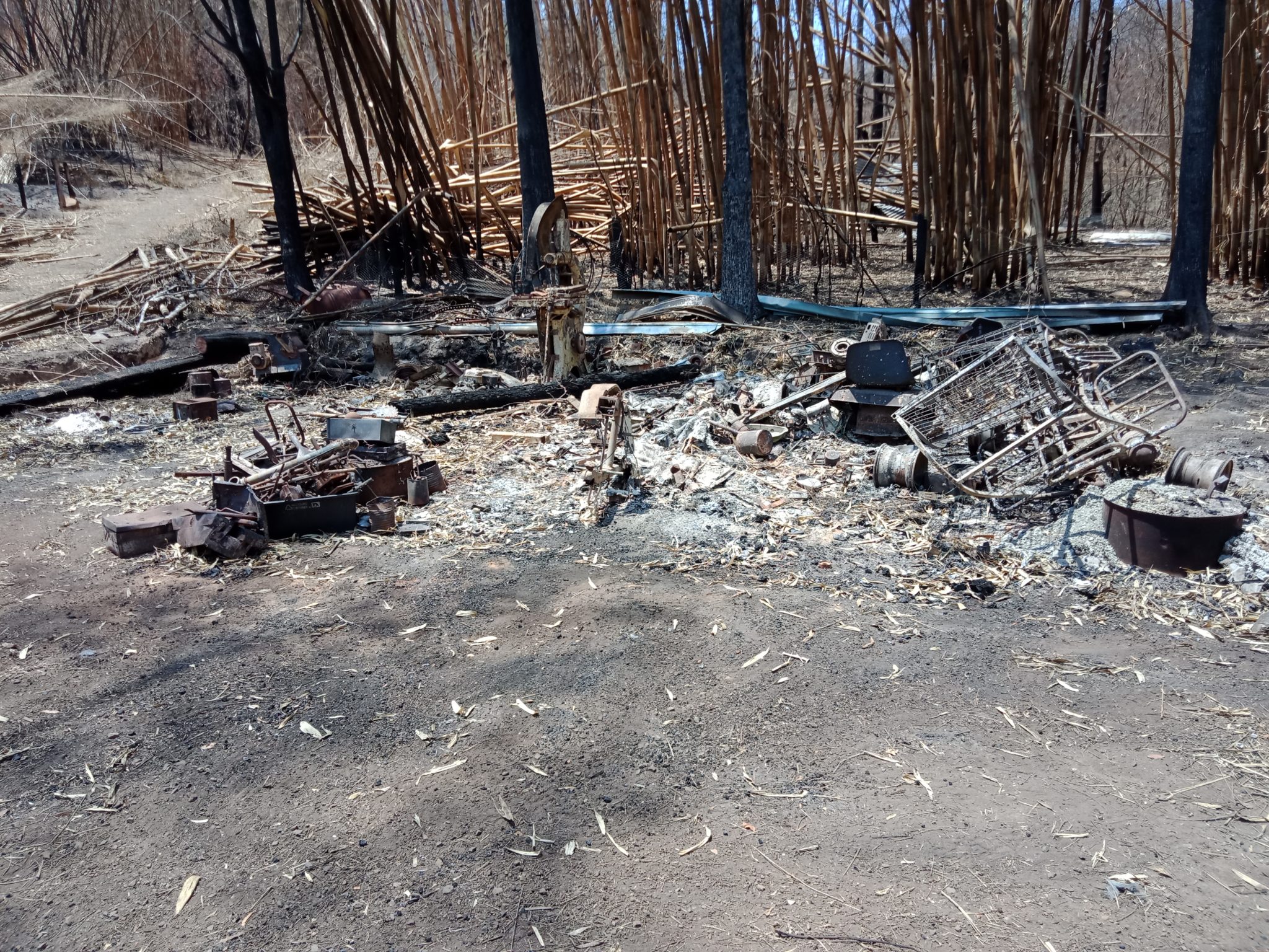 NSW BUSHFIRE RECOVERY SUPPORT – The Bushfire Foundation Inc NSW BUSHFIRE RECOVERY SUPPORT – The Bushfire Foundation Inc