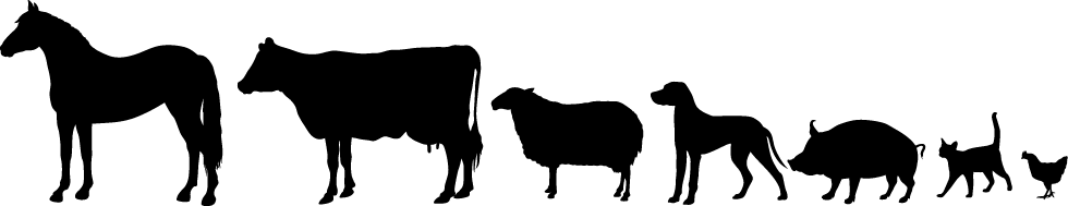 COMMUNITY ANIMAL RELIEF DIRECTORY – The Bushfire Foundation Inc